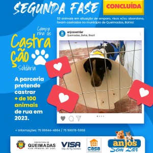 Prefeitura Municipal de Queimadas em parceria com a ONG Anjos sem Lar